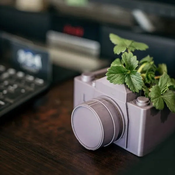 3D Planter with Plant – Obscura Camera Store